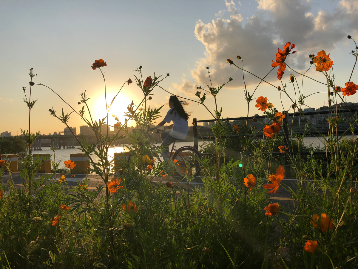 Melissa Schreiber – WASSERMAN WORKS