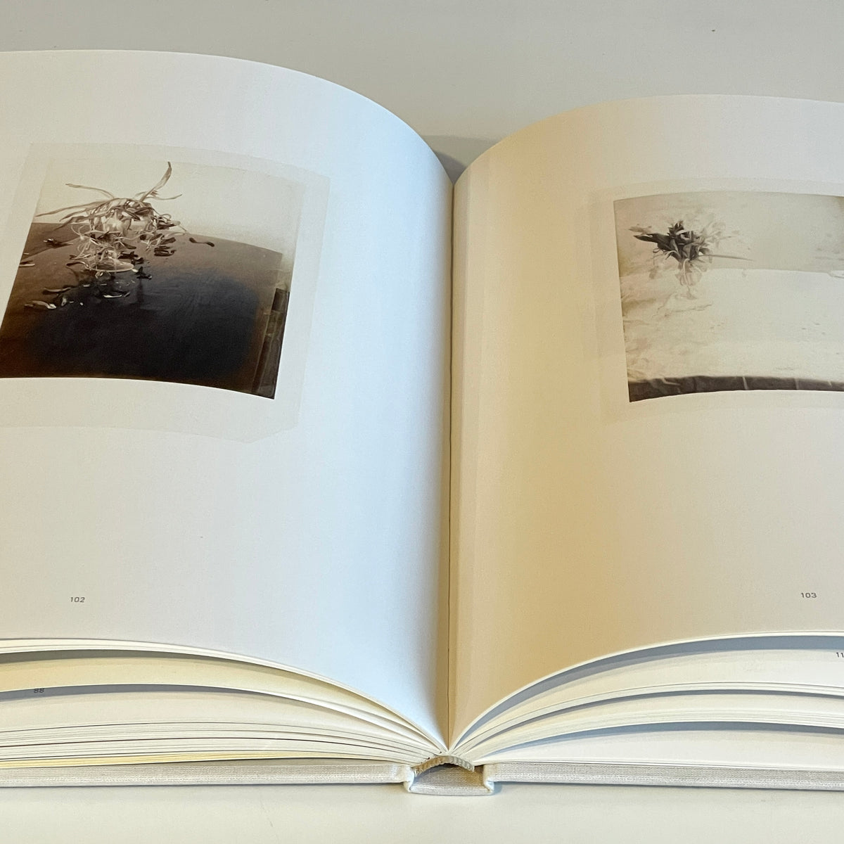 Time's Assignation – WASSERMAN WORKS